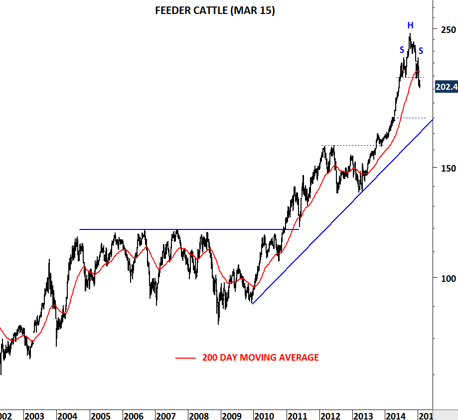 FEEDER CATTLE Tech Charts FEEDER CATTLE Tech Charts